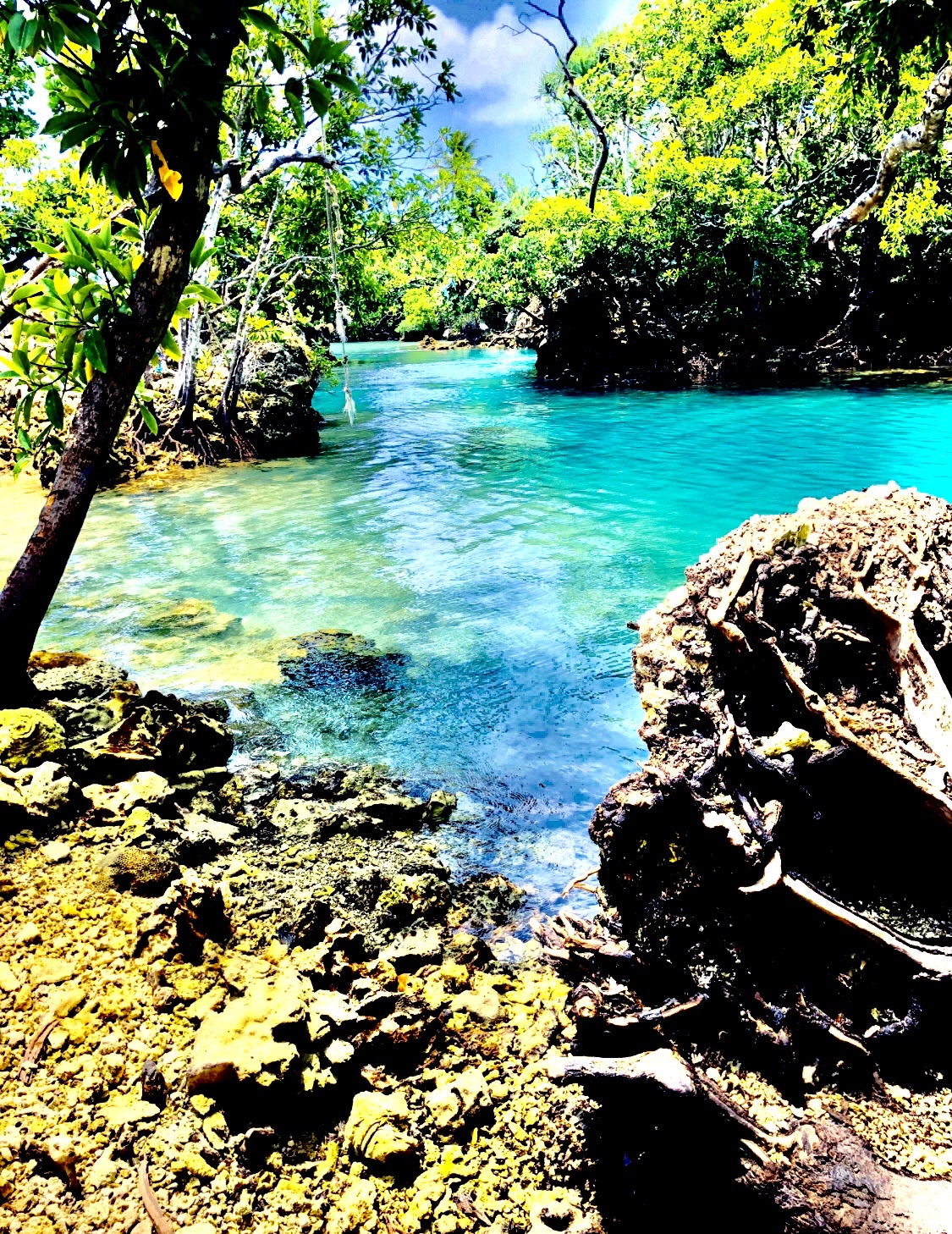 Blue Lagoon & Rentapado Boat Tour (VANUATU 2018; Day 7) – LAUREN BARRI